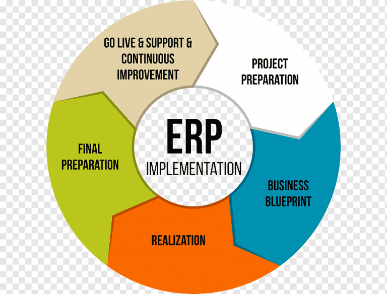 Guide To Successful SAP Implementation - Tdm Web Studio - Role of ...